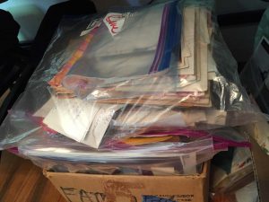 Organizing A Photo Collection Into The Digital Space | The Organizing Lady